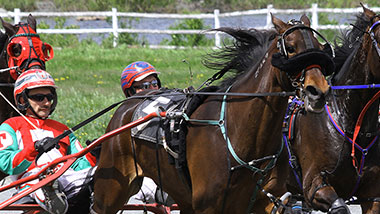 Racing Calendars | Hollywood Gaming at Dayton Raceway