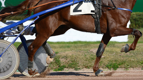 Racing Calendars | Hollywood Gaming at Dayton Raceway