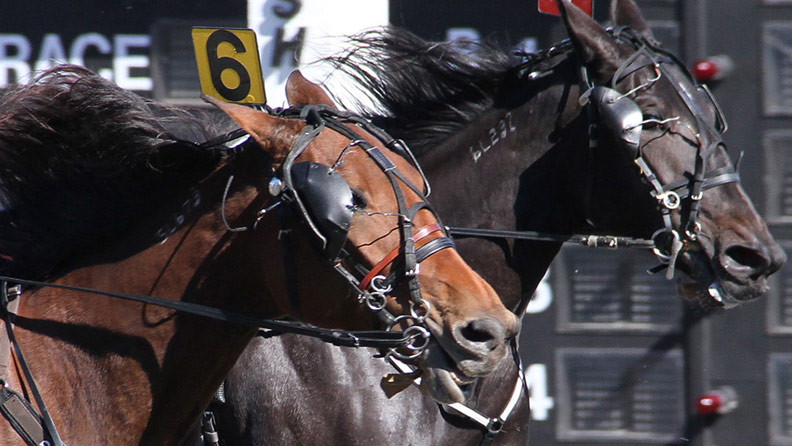 Hollywood Gaming at Dayton Raceway: Endless Thrills, Starring You!